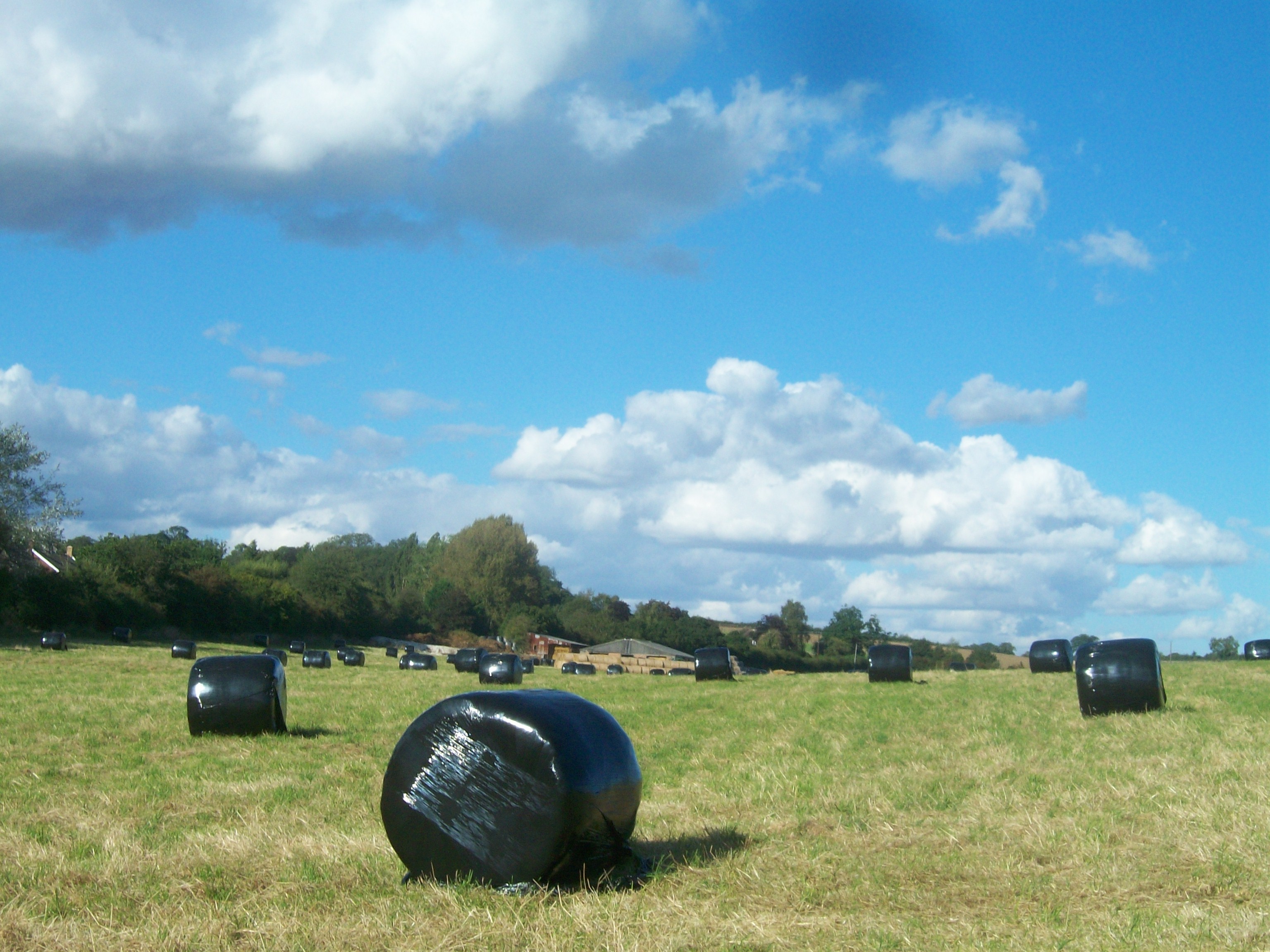 Save Batford Farm fields from development