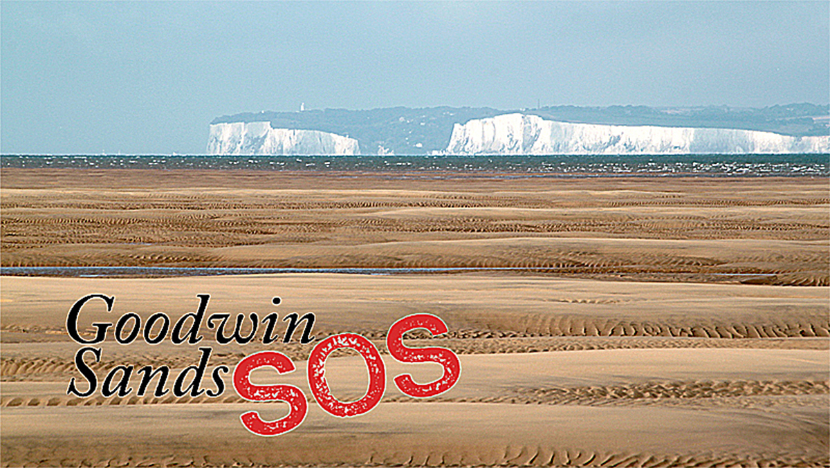 Help us protect the Goodwin Sands from destruction by dredging